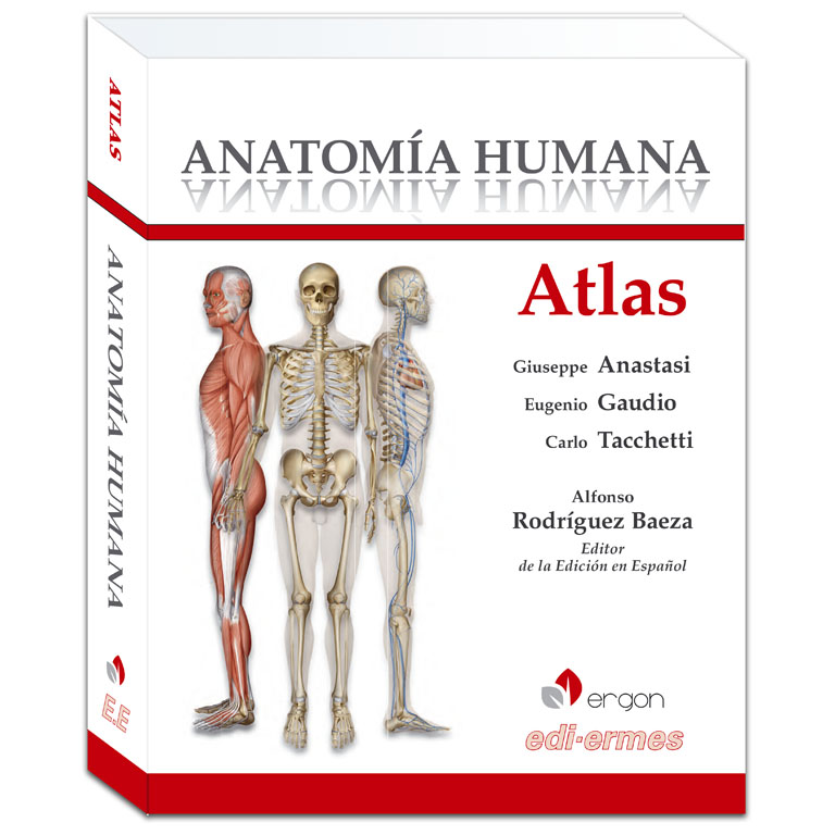 Atlas de anatomía humana - Ergon